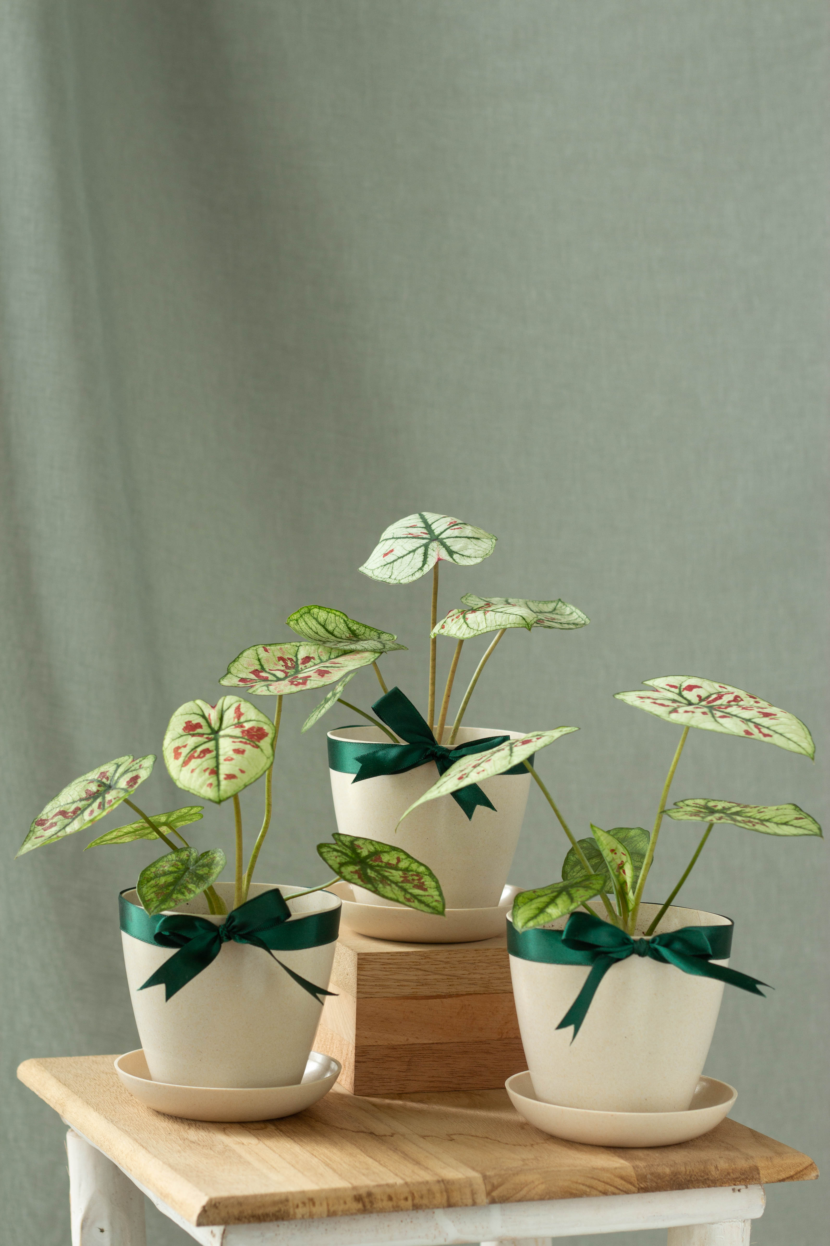 Strawberry Love Set – Bloomspace