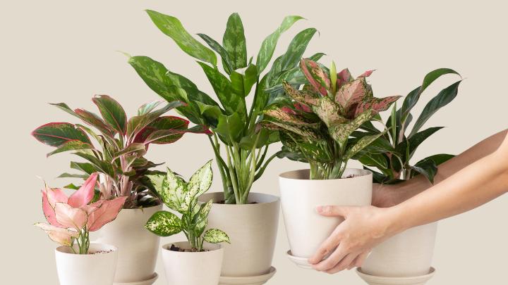 New Arrivals – Bloomspace