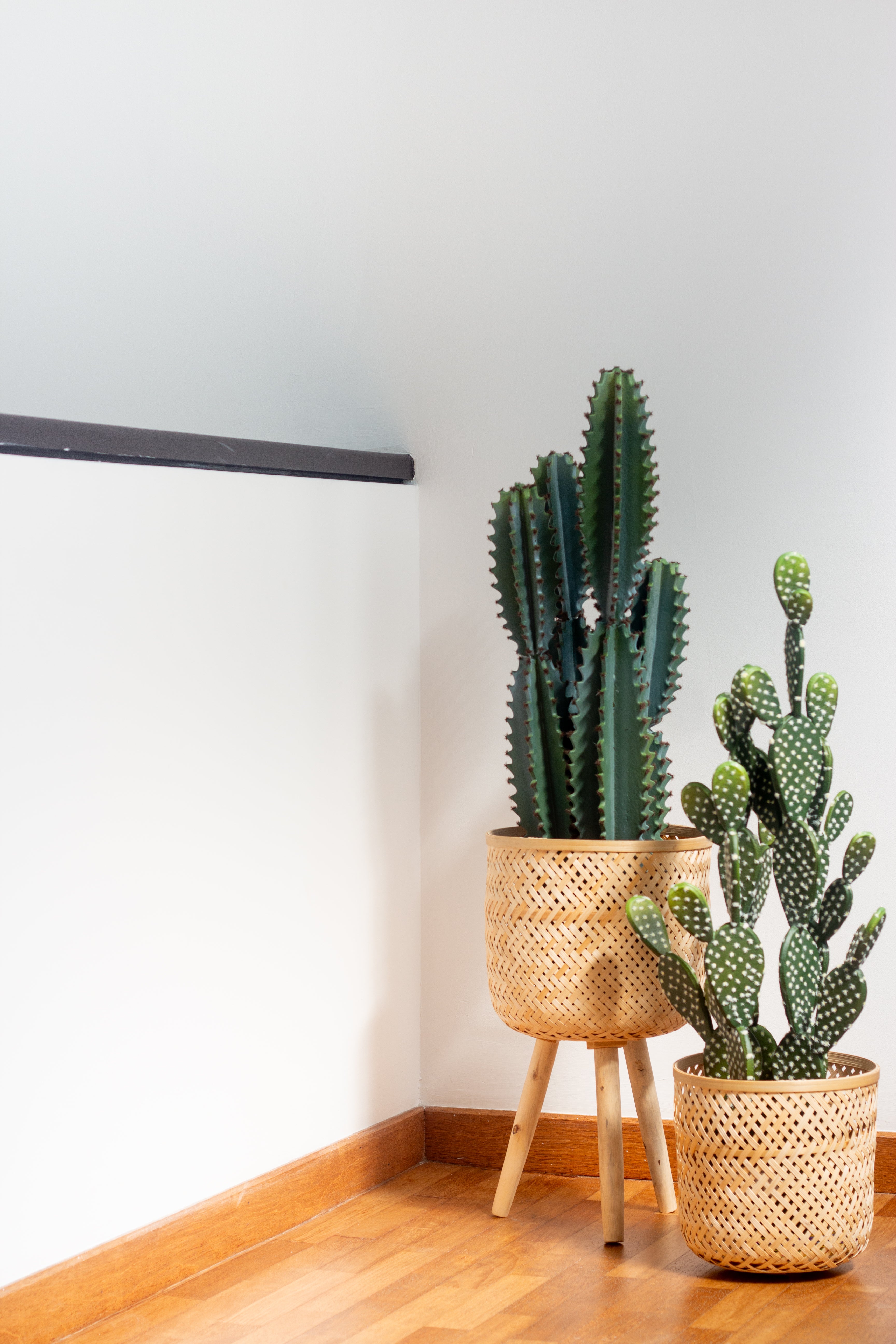 Faux Plant – Bloomspace