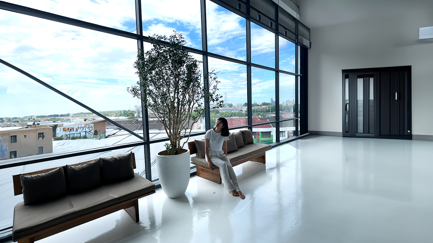 Ready Potted Indoor Plants | Malaysia #1 Online Plant Store – Bloomspace