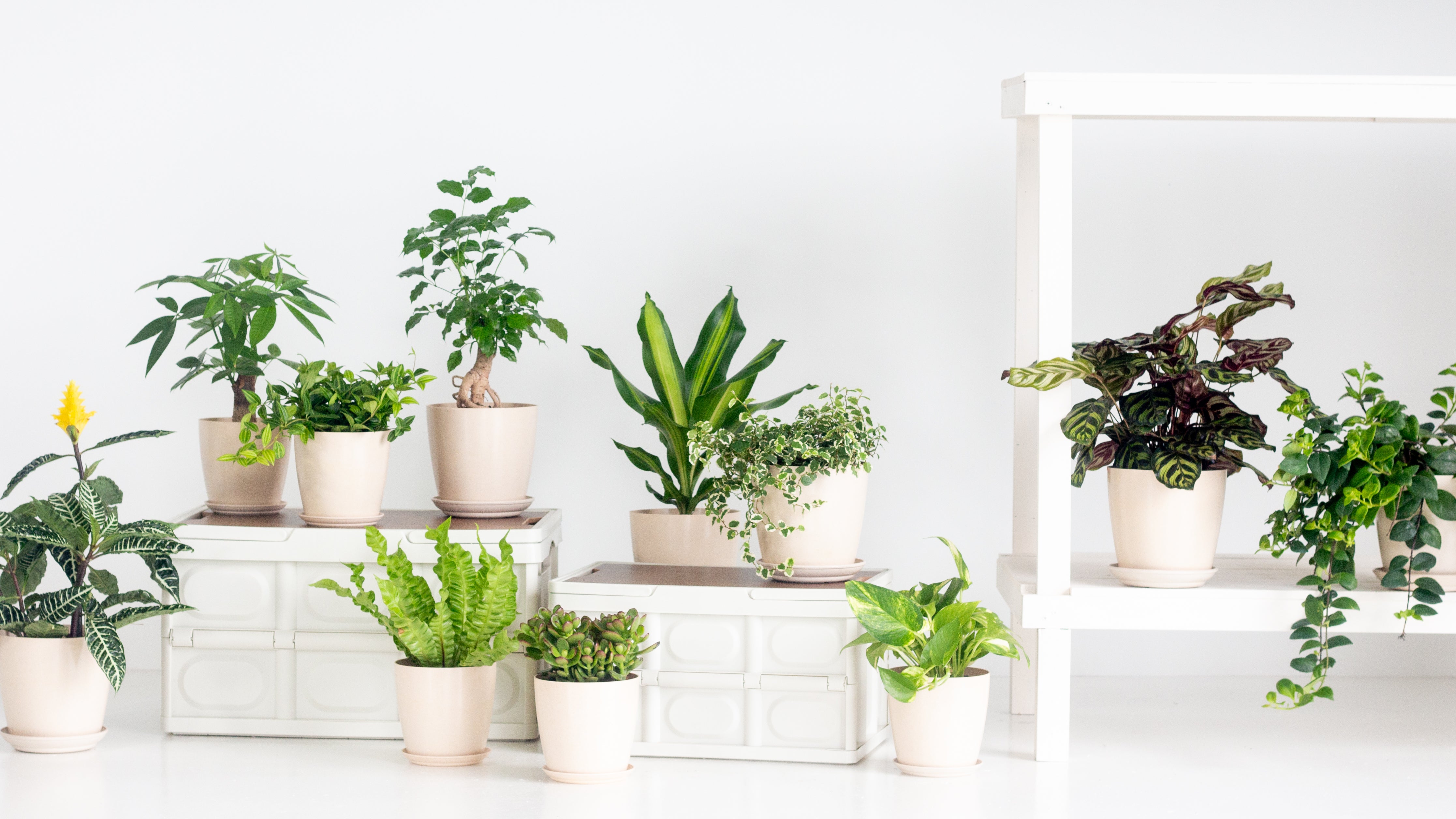 New Arrivals – Bloomspace