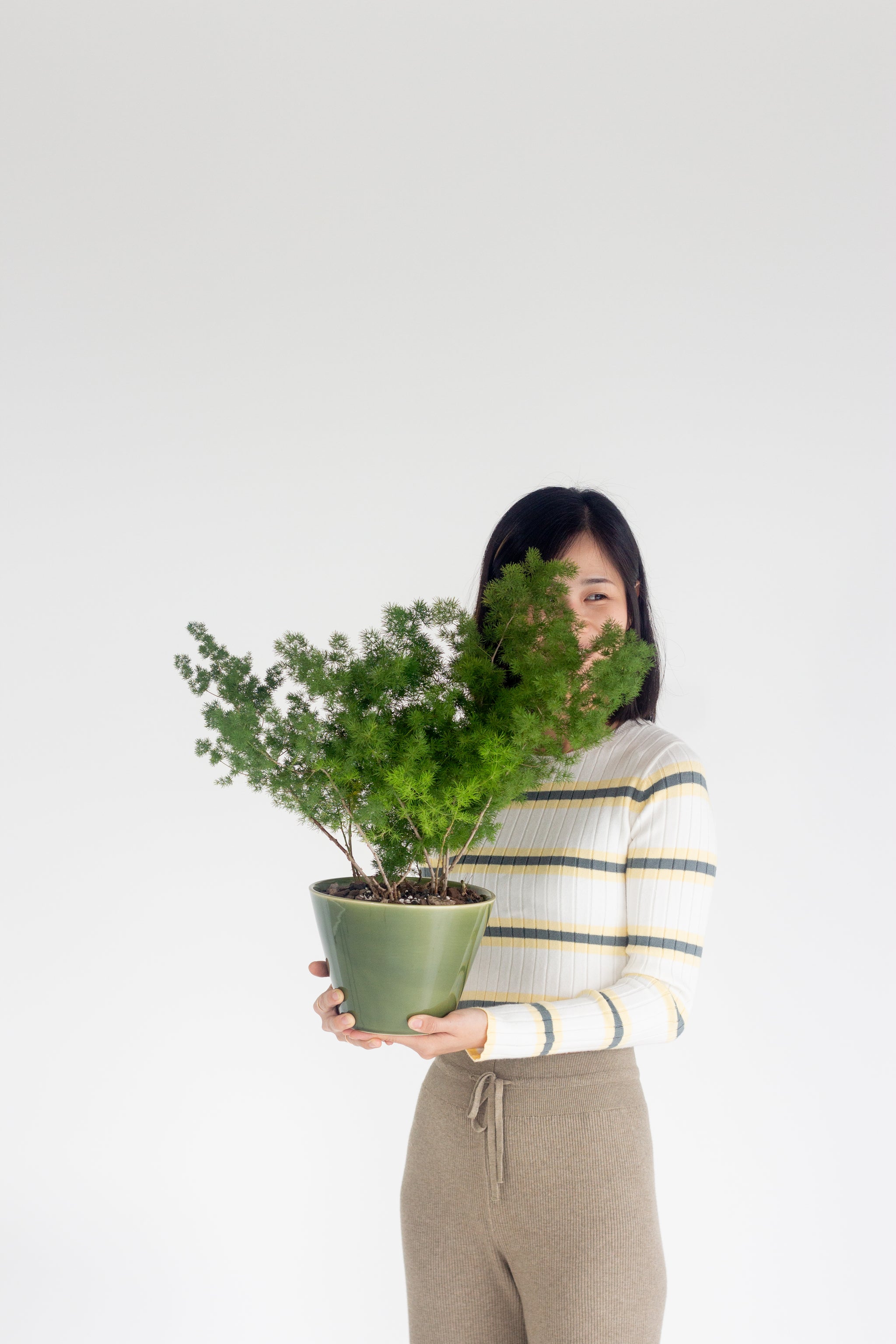 Ming Fern – Bloomspace