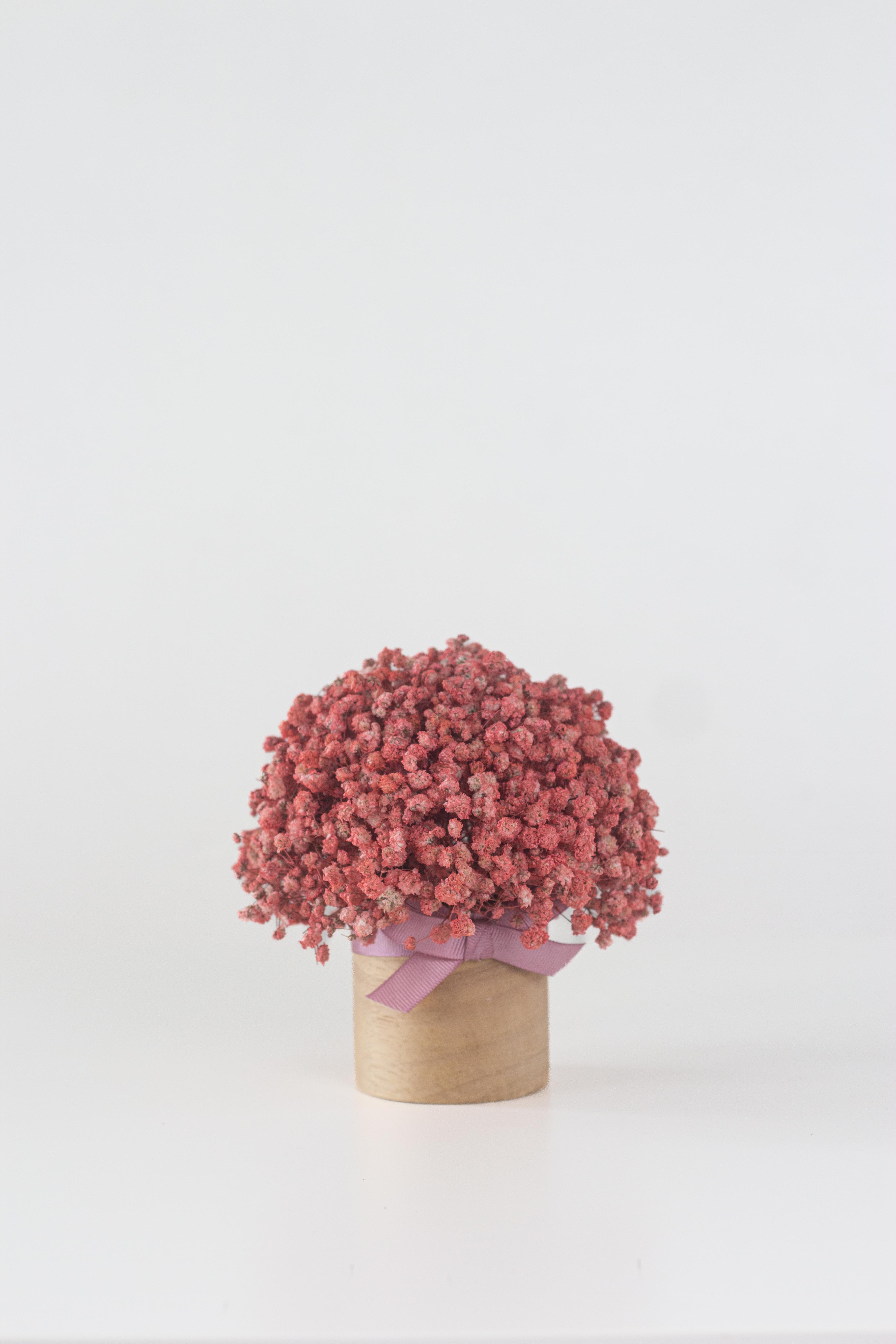 Gift Store – Bloomspace