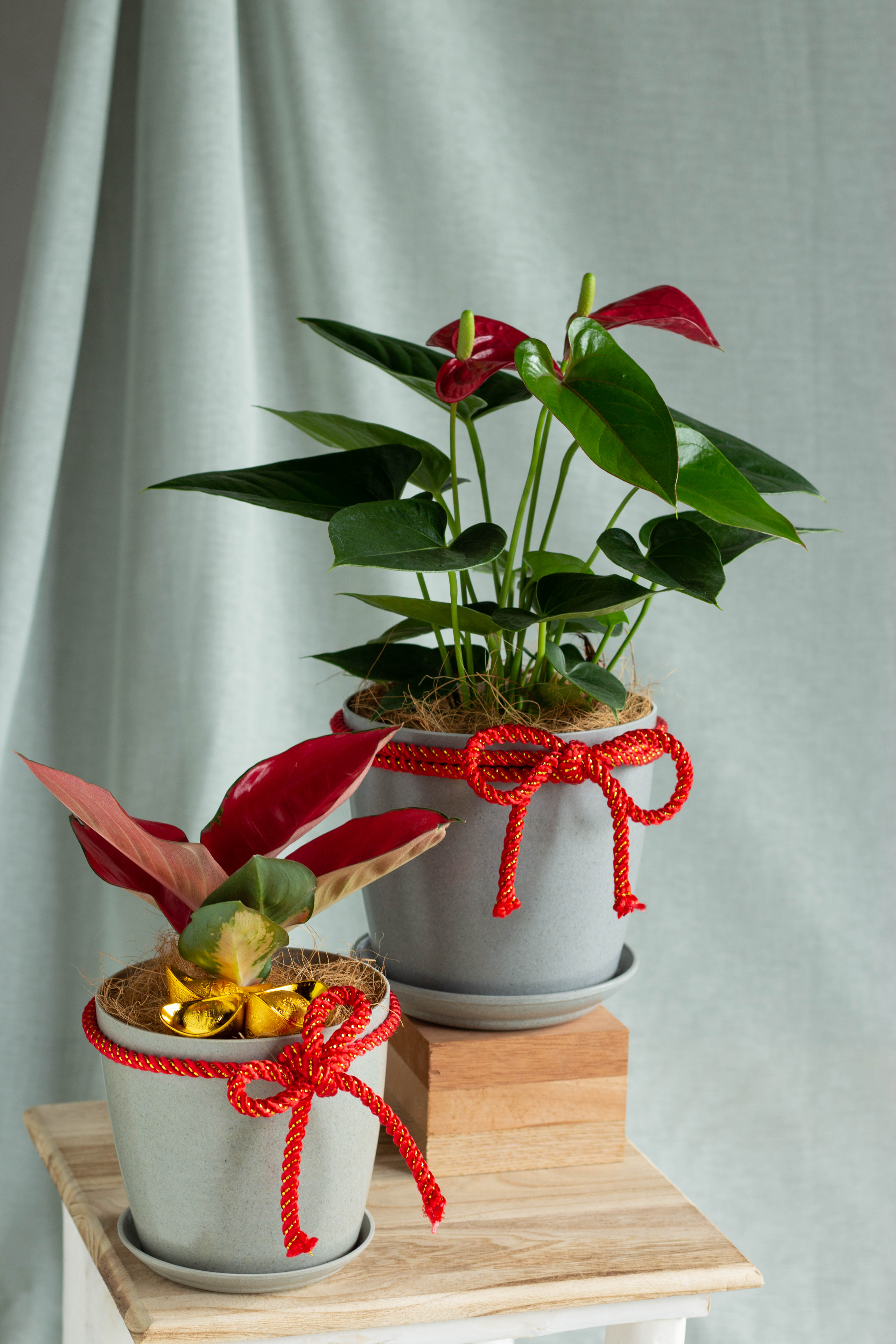 Auspicious Red Set – Bloomspace