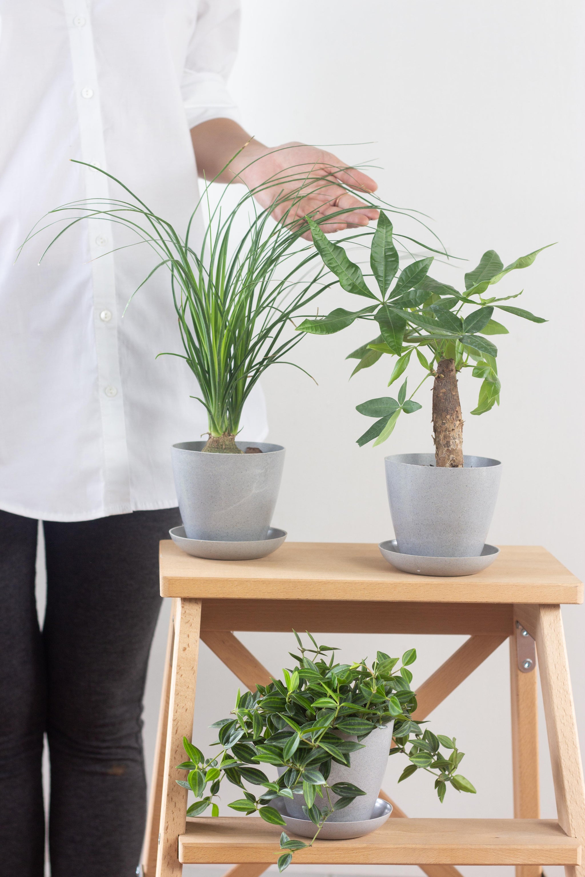 Furry Friend Set – Bloomspace