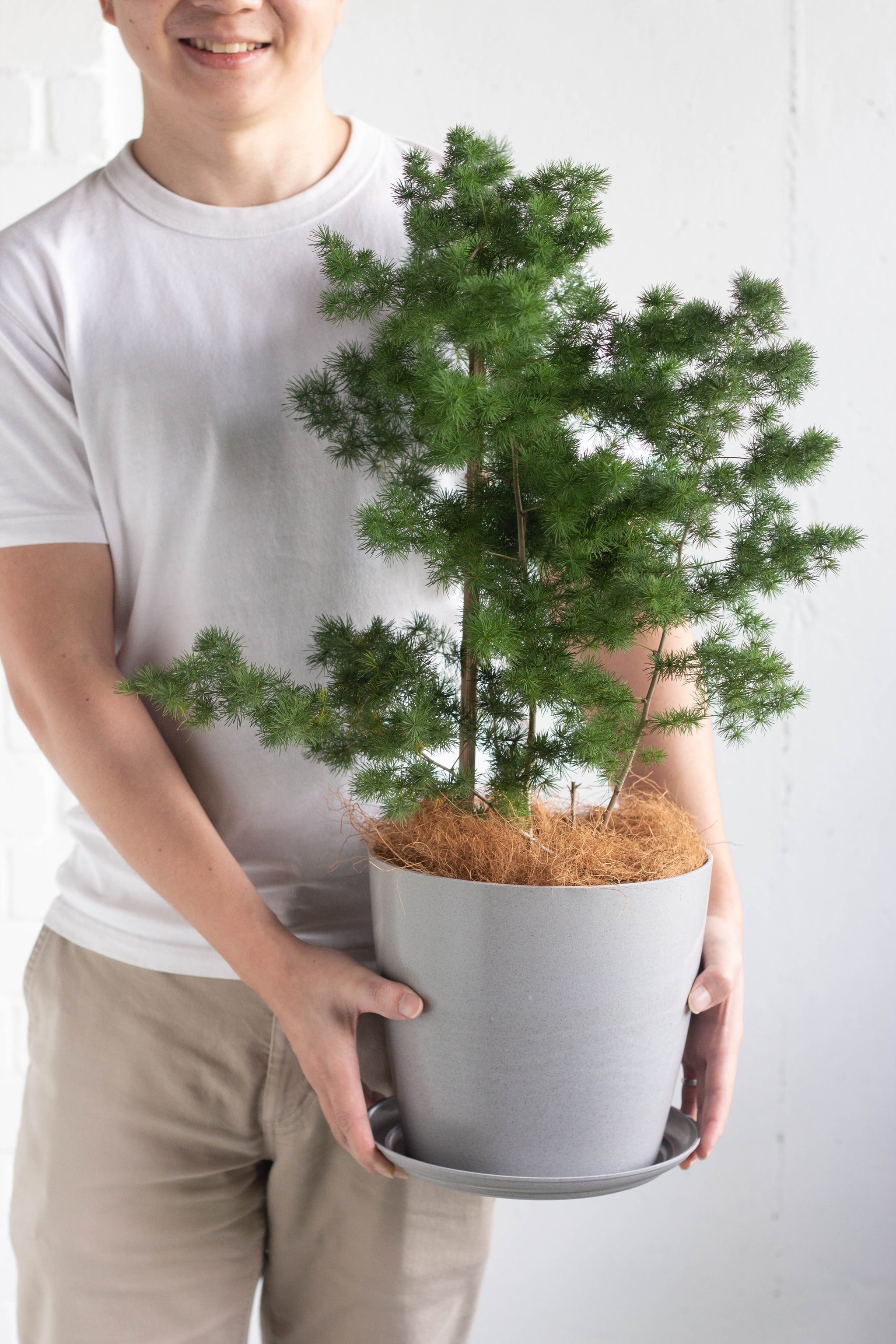 Ming Fern – Bloomspace