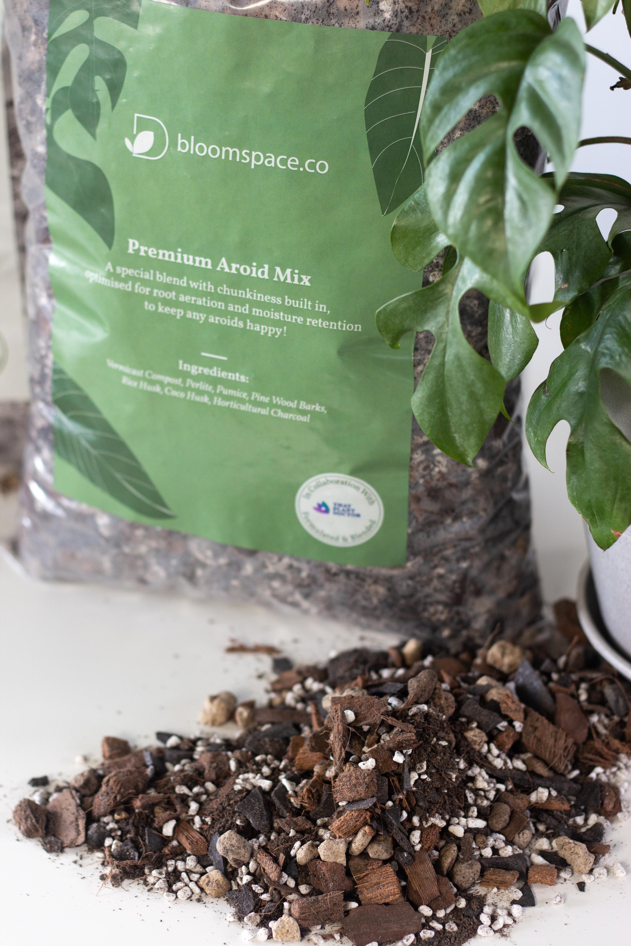 Premium Aroid Mix – Bloomspace