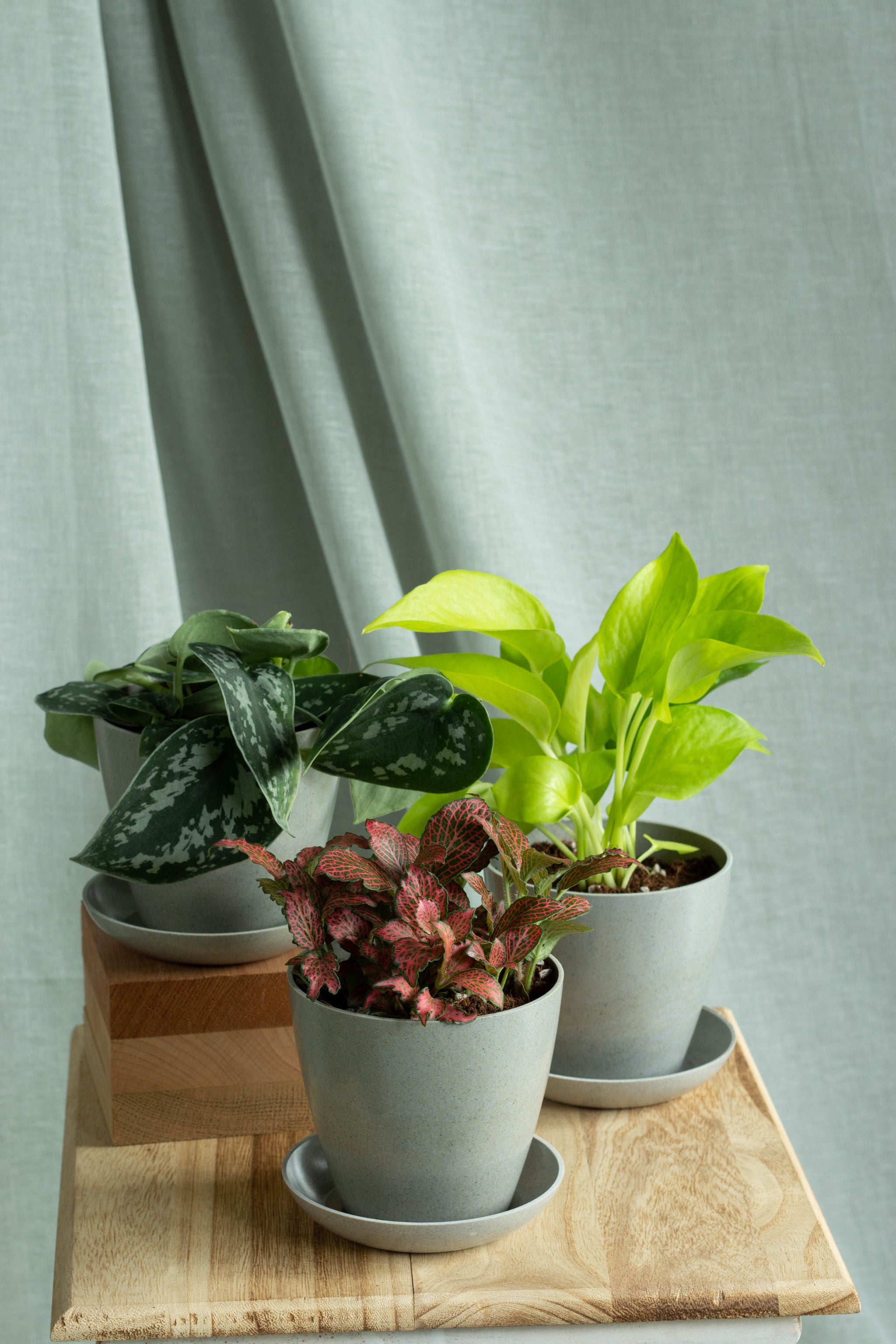 Colorful Set – Bloomspace